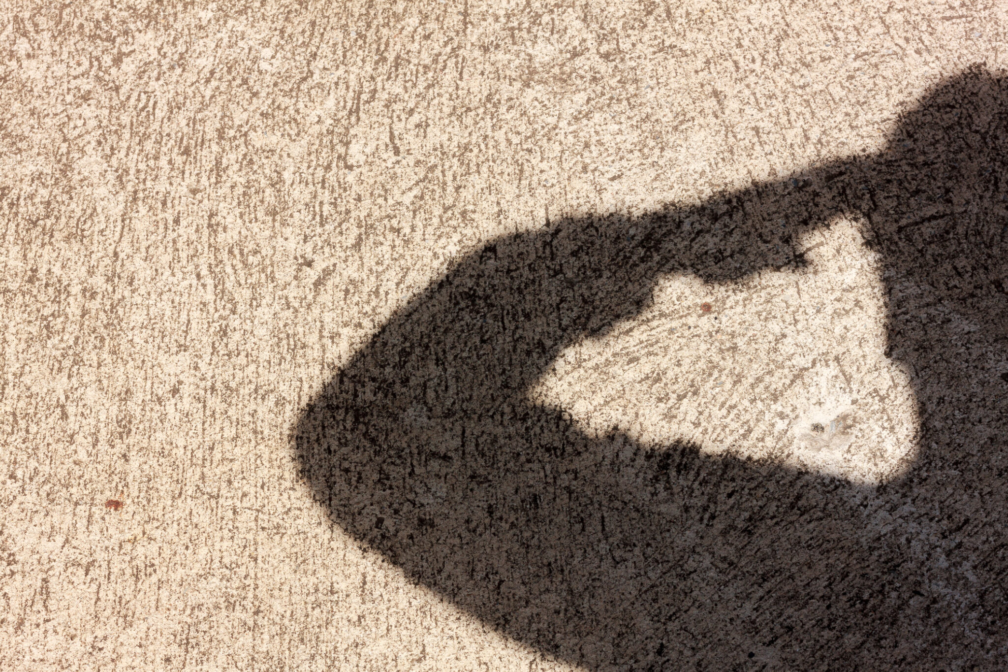 Police Chain of Command - Career Police Officer